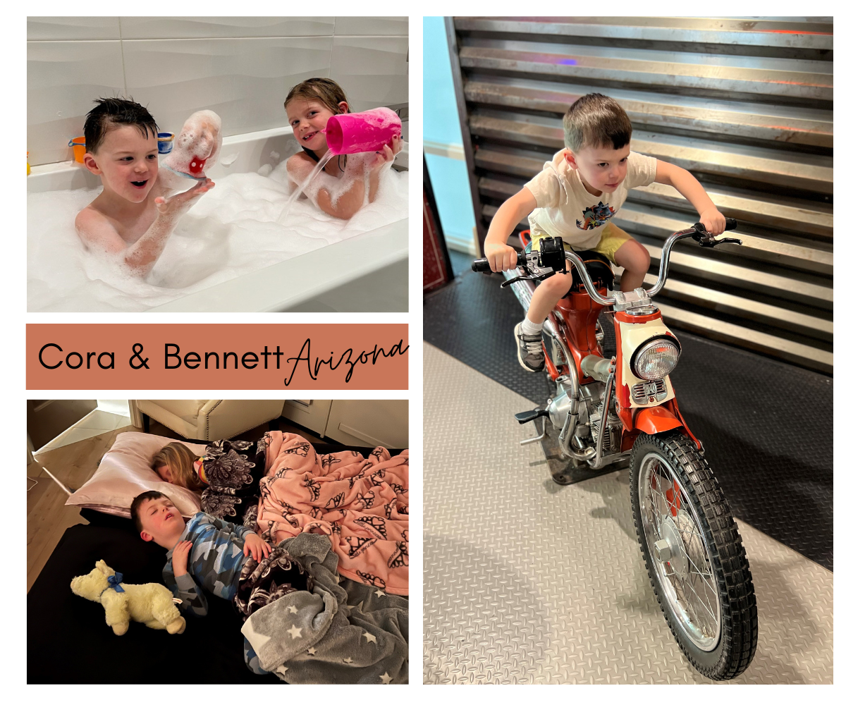 Snapshots - Denny Elwell Company